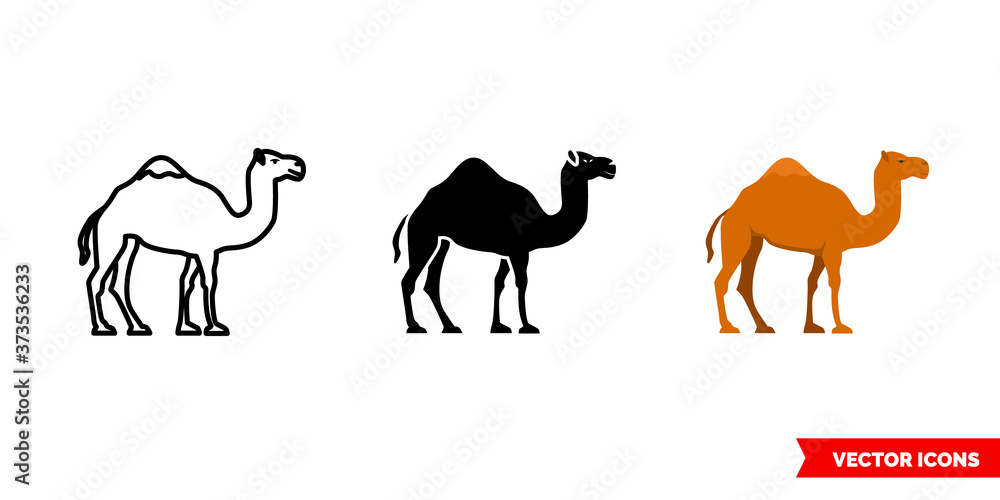 Camel icon of 3 types color, black and white, outline. Isolated vector ...