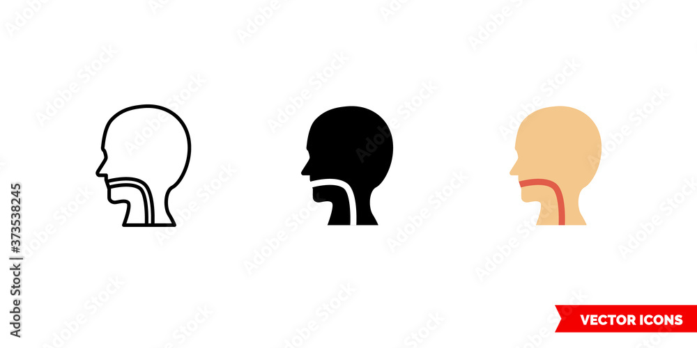 Esophagus throat icon of 3 types color, black and white, outline ...