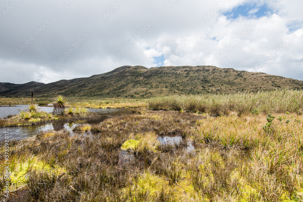 Choachi, Colombia Landscape of Colombian Andean mountains showing ...