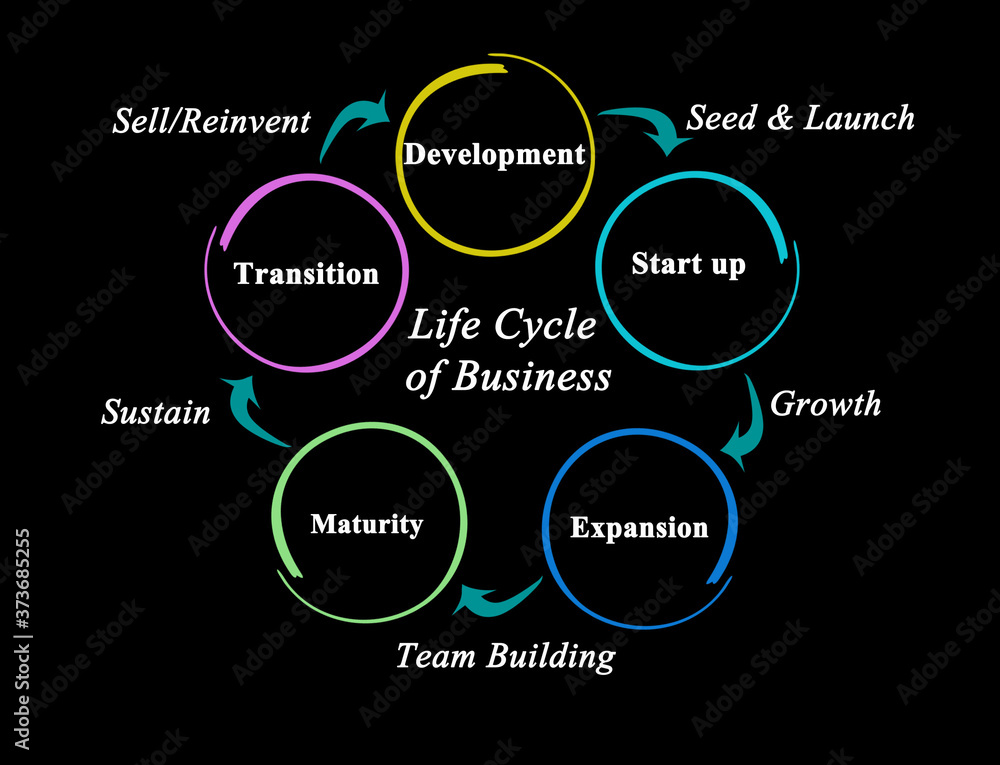 Five stages of Life Cycle of Business. Stock Illustration | Adobe Stock