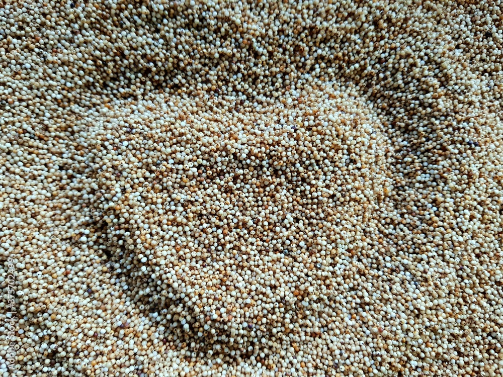 finger millet background Stock Photo | Adobe Stock