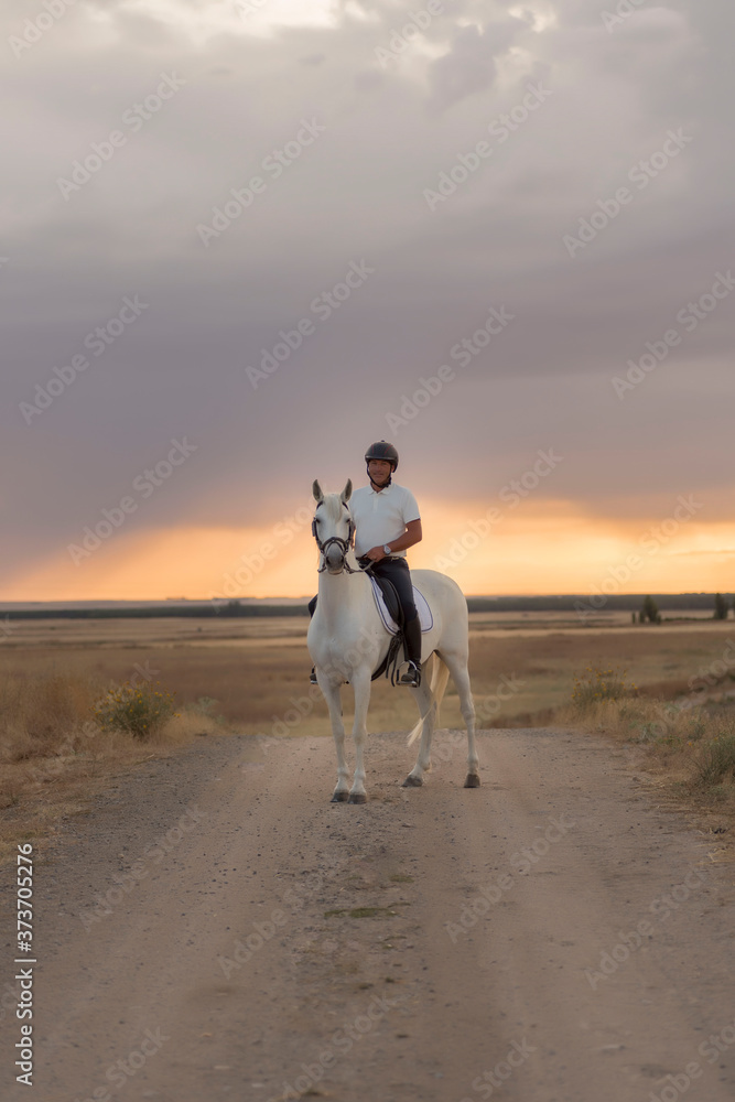 Rider on horseback walking along a path with his white horse. Horse ...