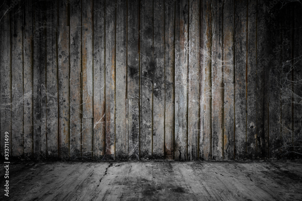 Old grunge wooden room and concrete floor covered with cobweb or spider ...