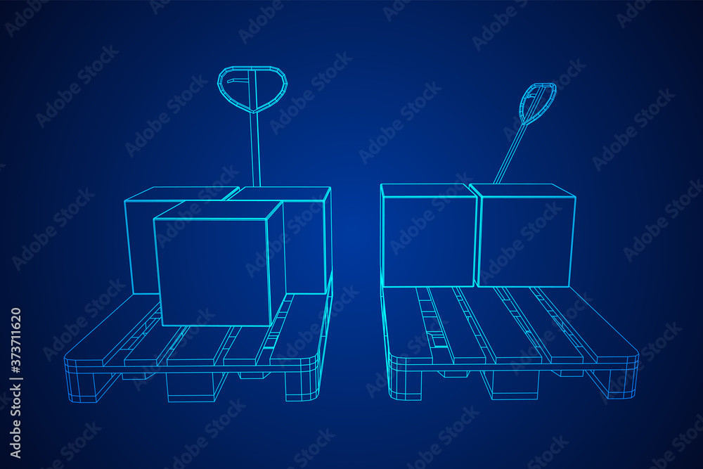 Hand pallet jack lift with pallet and stacked goods cardboard boxes ...