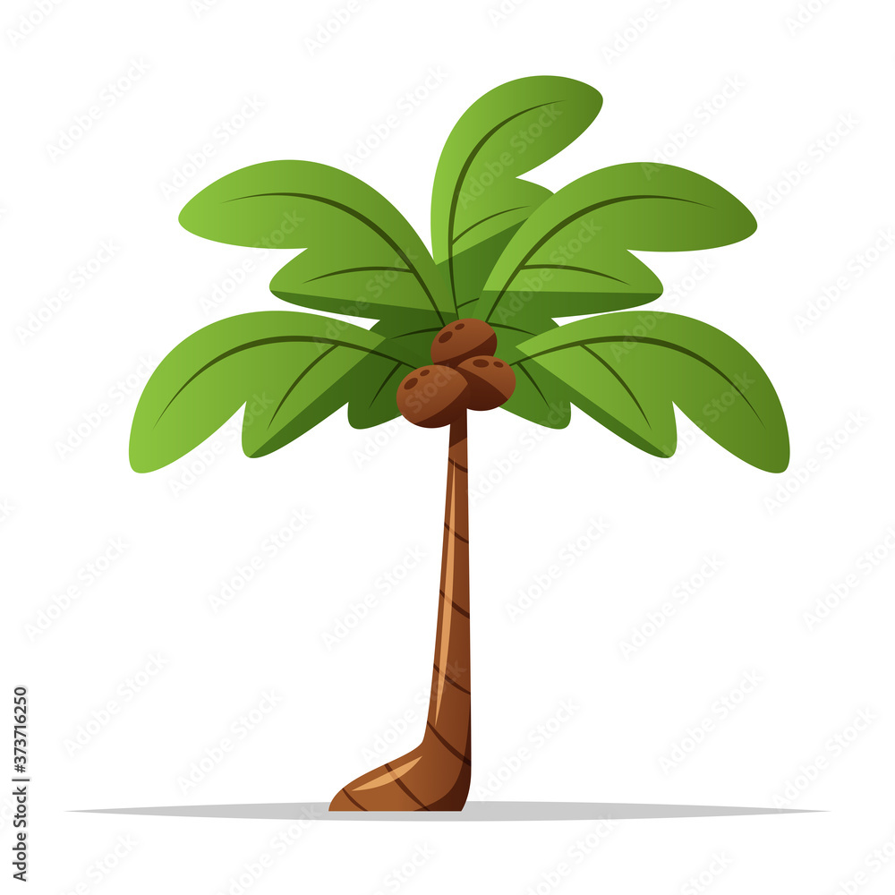 Cartoon coconut tree vector isolated illustration Stock Vector | Adobe Stock