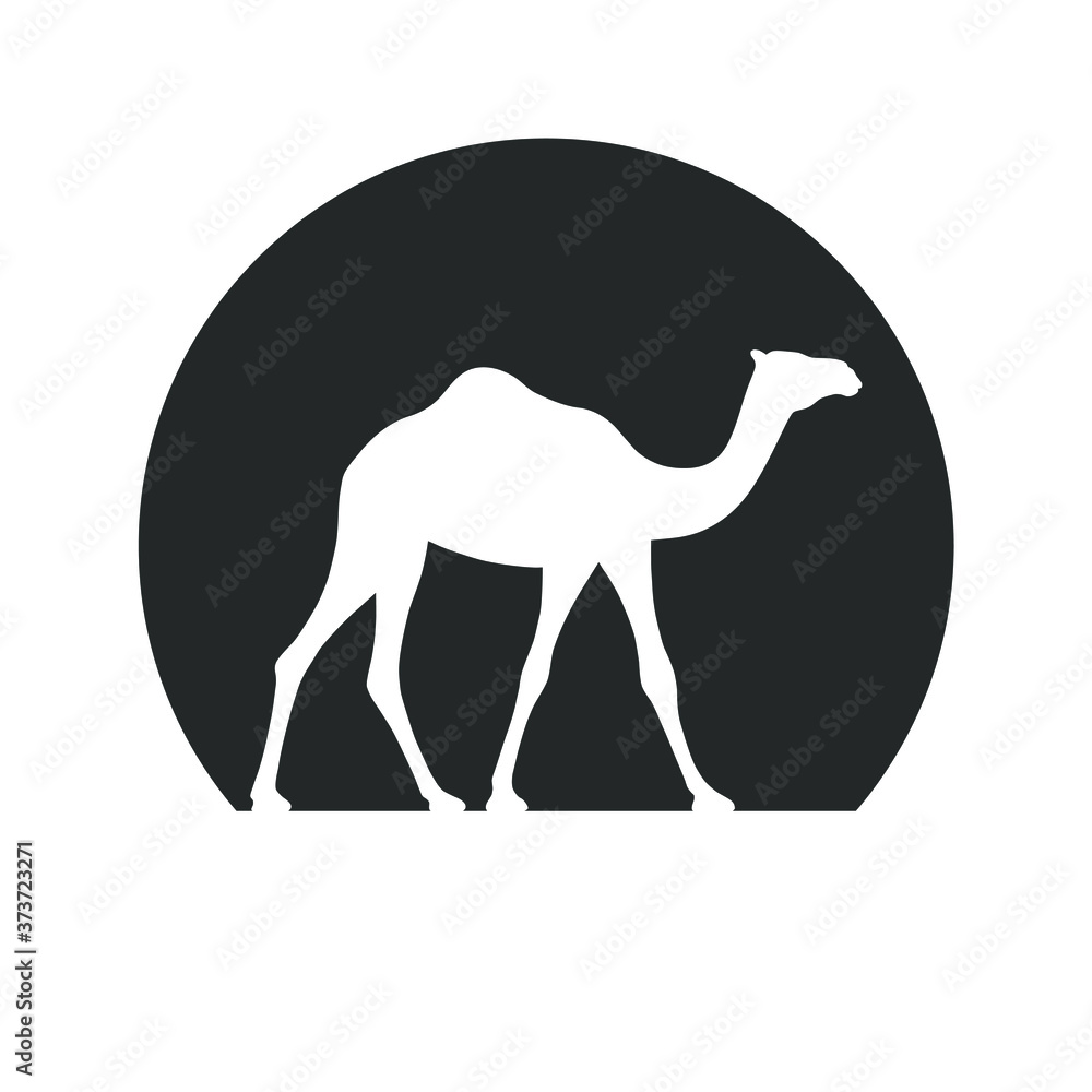 Camel graphic icon. Camel in the circle sign isolated on white ...