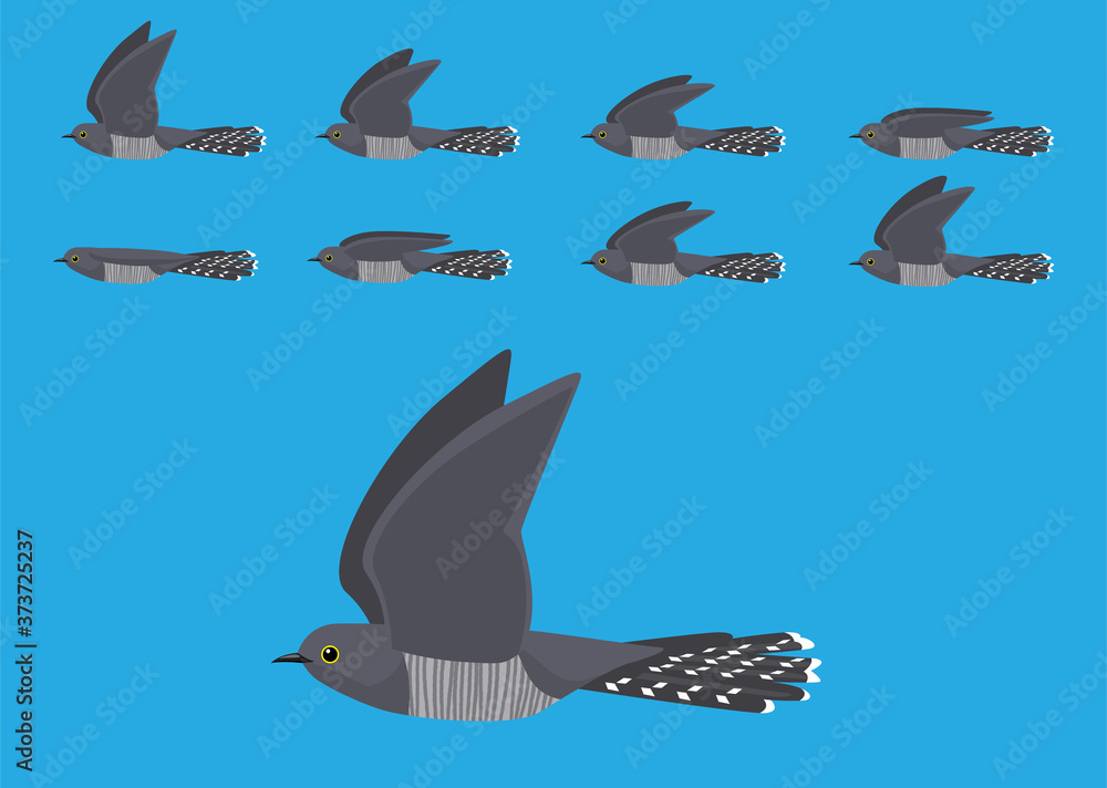 Common Cuckoo Flying Motion Animation Sequence Cartoon Vector ...