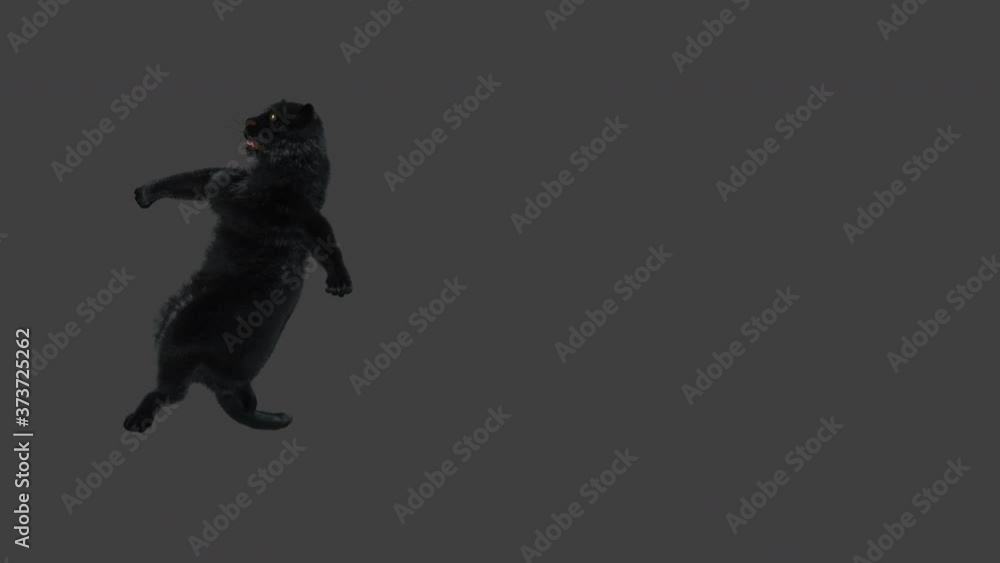 Panther Dancing CG fur, 3d rendering, animal realistic CGI VFX ...