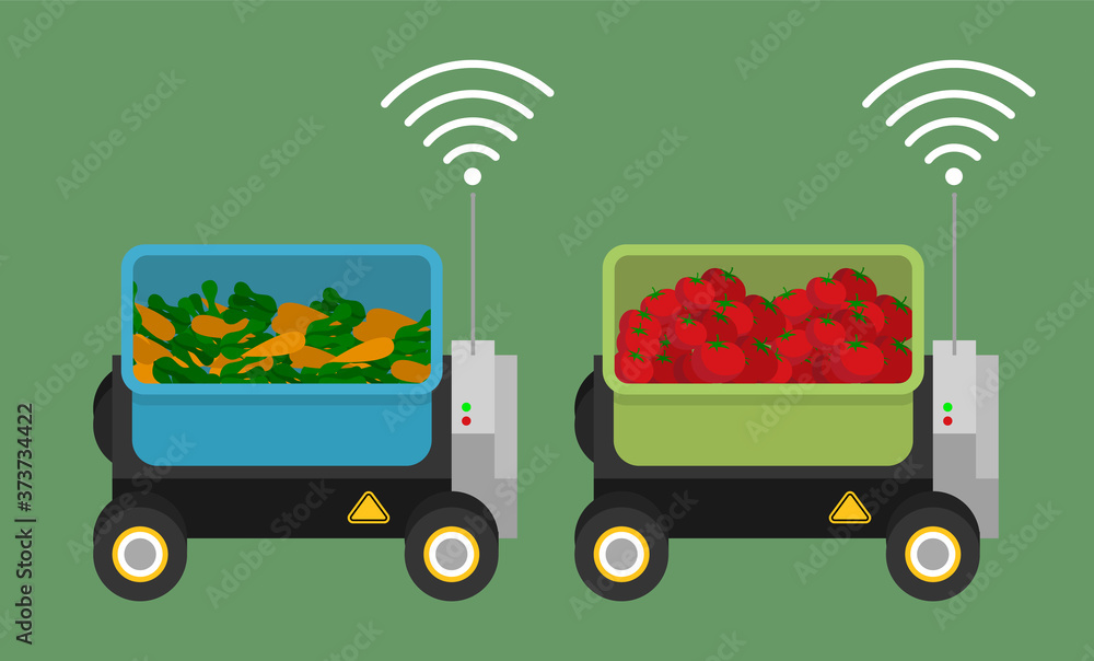 Toy cars controlled by Wi-Fi via bluetooth for transporting vegetables ...