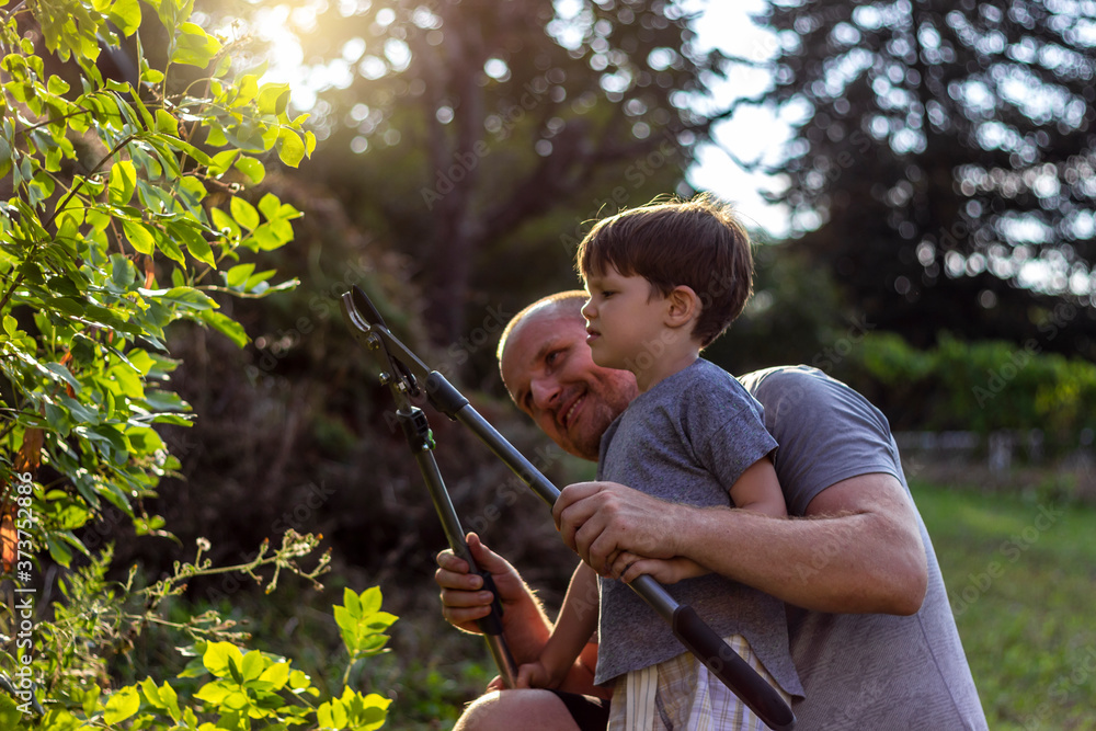 Handsome young father and son trimming the hedges in the backyard of ...