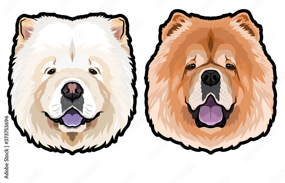 Chow Chow dog portrait vector illustration Stock Vector | Adobe Stock