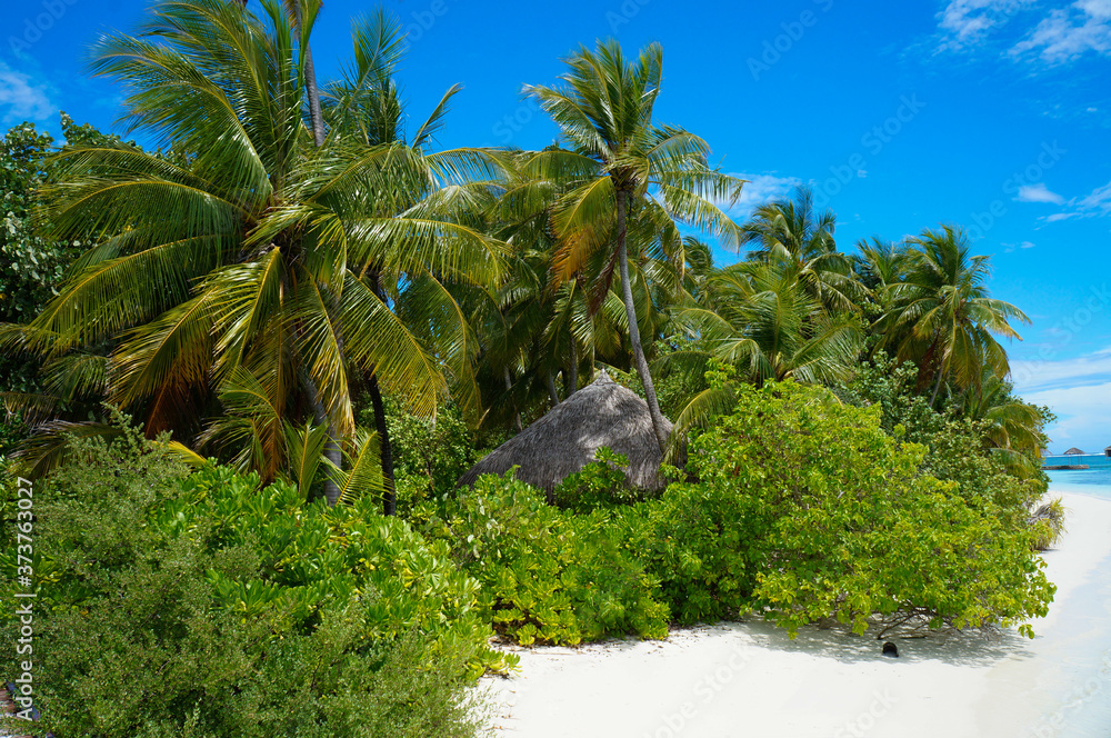 Tropical white sand beach with exotic Coco palm tree with turquoise ...