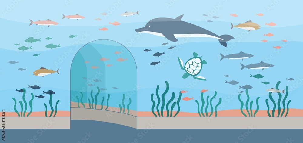 Oceanarium or aquarium background with fishes and plants vector ...