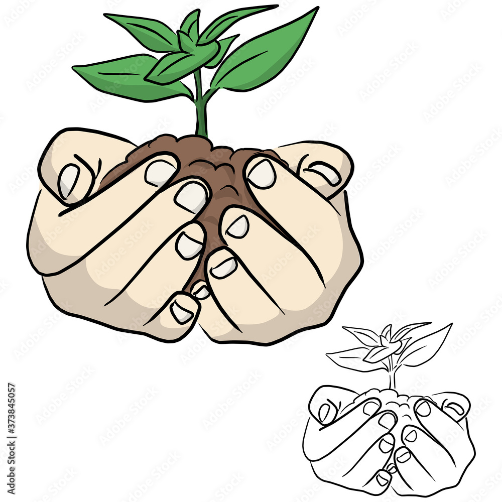 close-up front view of human holding green plant in hands vector ...