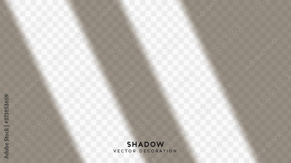 Shadow overlay. Effect light transparent shadow. Realistic creating ...
