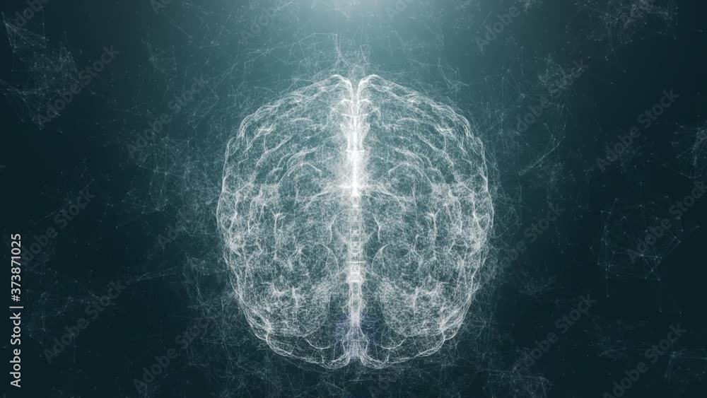 Digital brain materializing animation. Concept of AI neural network ...