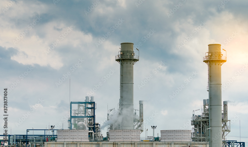 Gas turbine electrical power plant. Energy for support factory in ...