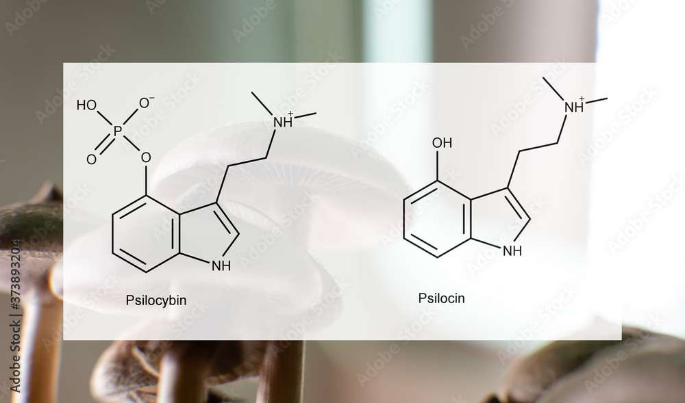 .the medical effects of psilocybin and psilocin on the psychological ...