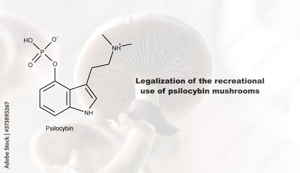 Legalization of the recreational use of psilocybin mushrooms ...