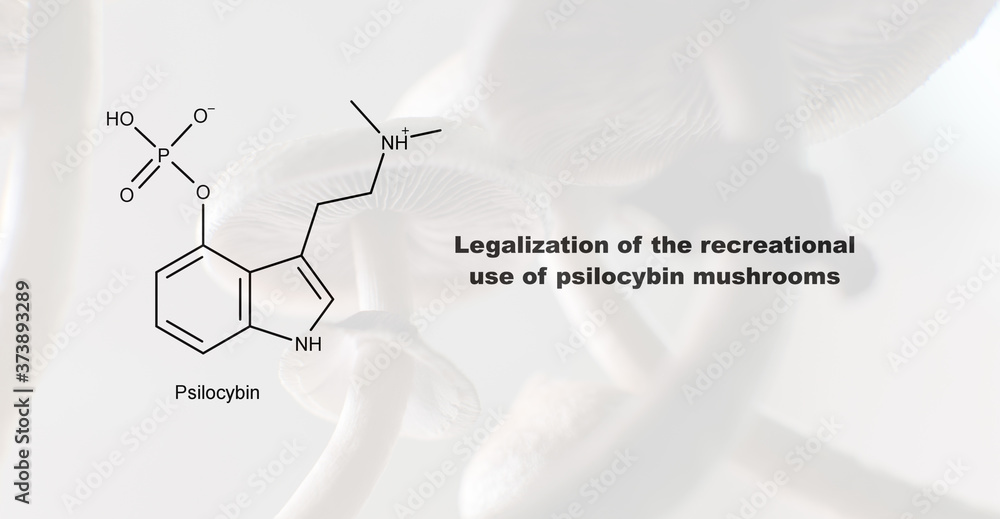 Legalization of the recreational use of psilocybin mushrooms ...