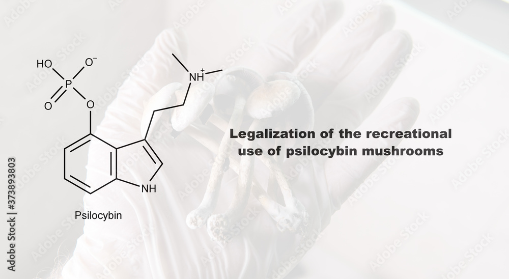 Legalization of the recreational use of psilocybin mushrooms ...