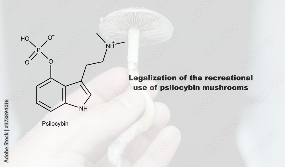 Legalization of the recreational use of psilocybin mushrooms ...