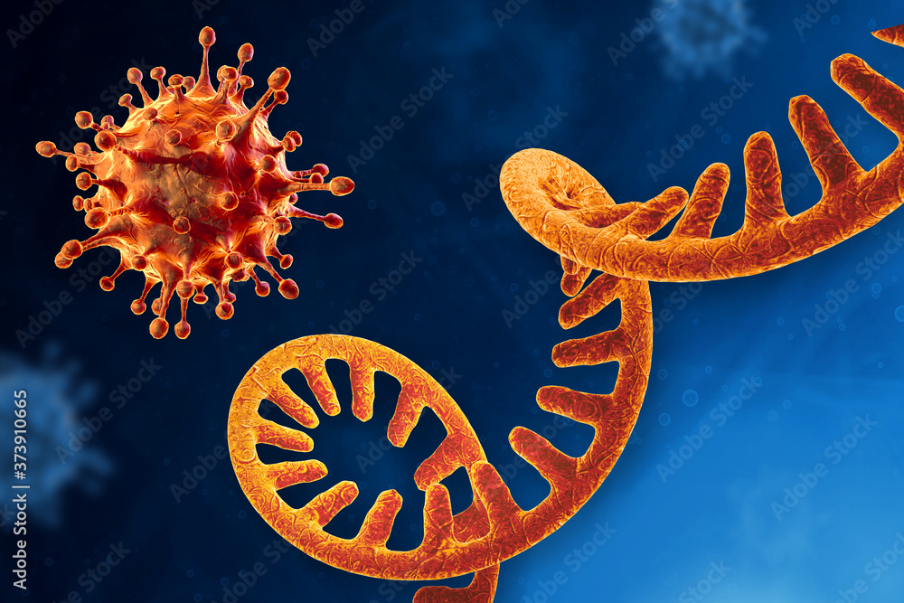 Omicron coronavirus. Single RNA strand. Microscopic view of a ...