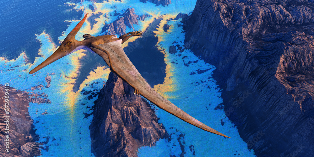 Pteranodon Reptile - A single Pteranodon flies over coastal seas of ...