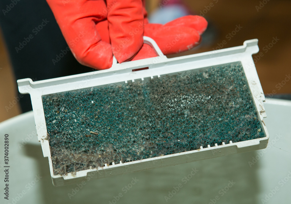 The process of cleaning a room with a vacuum cleaner with an aquafilter ...