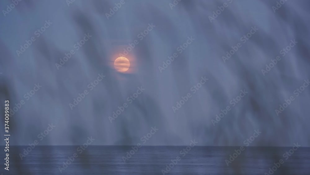 Static frame full moon through defocused grasses and sea vídeo do Stock ...