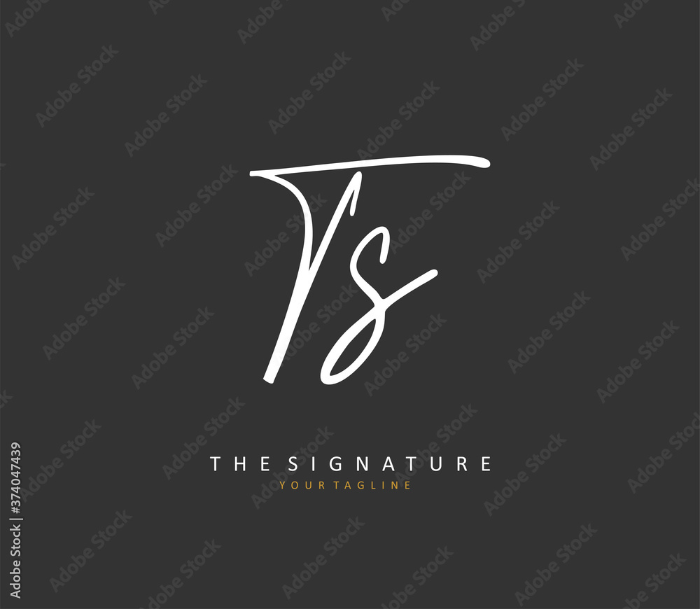 T S TS Initial letter handwriting and signature logo. A concept ...