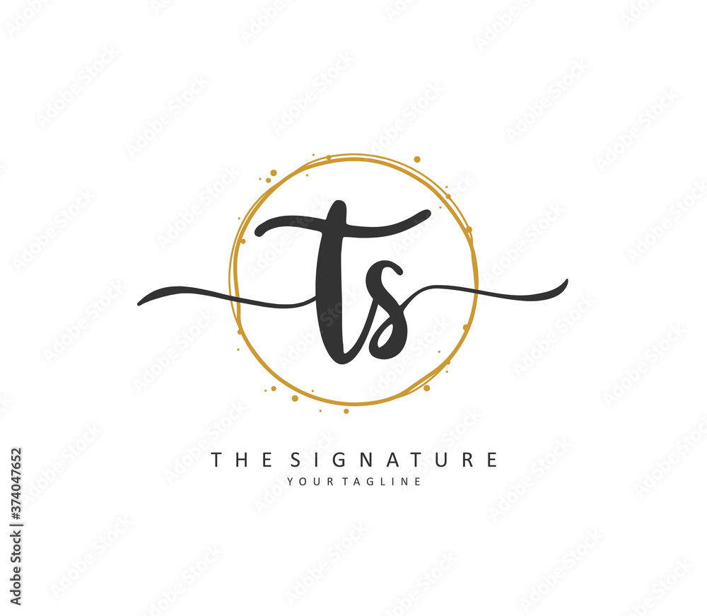T S TS Initial letter handwriting and signature logo. A concept ...