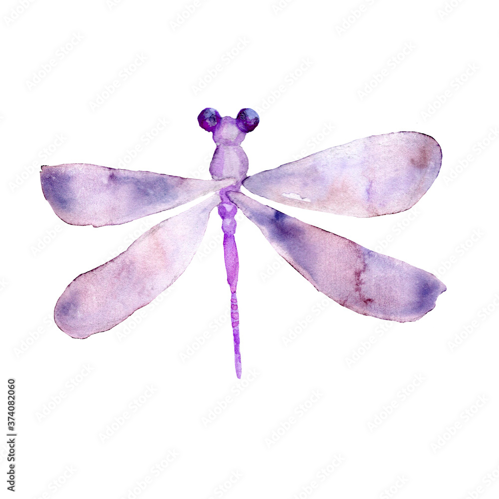 Violet dragonfly. Hand drawn watercolor insect isolated on white ...