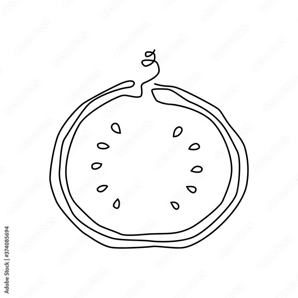 Cut in half watermelon, line art, vector Stock Vector | Adobe Stock