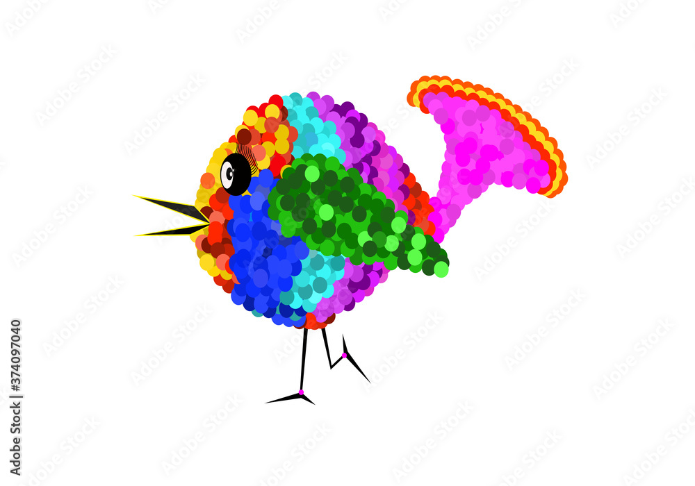 Colorful cute bird walking with beautiful tail, the body bird was ...