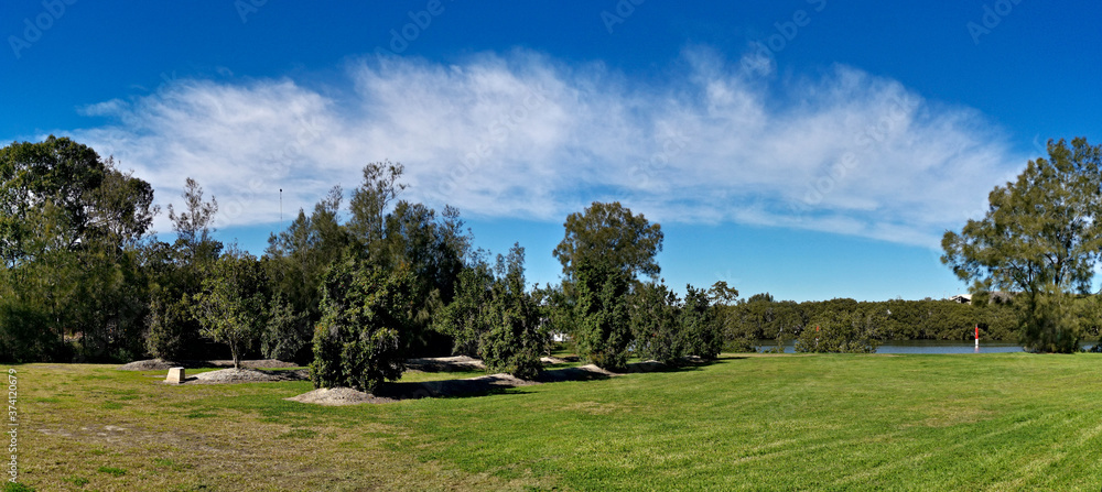 Beautiful panoramic view of a park with green grass, tall trees ...