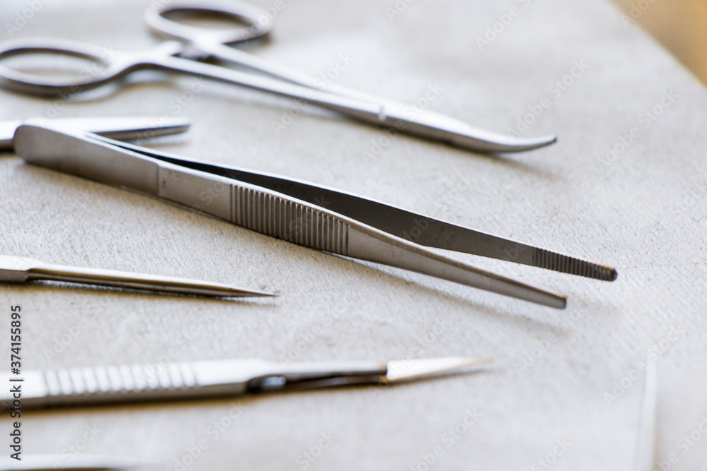 Dissection Kit - Stainless Steel Tools for Medical Students of Anatomy ...