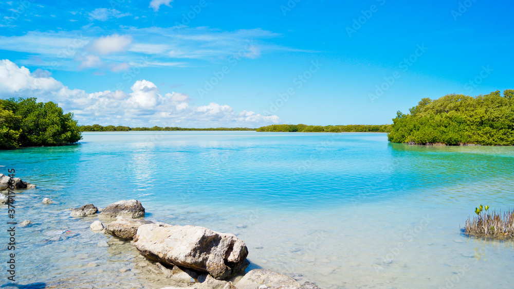 Paisaje, Naturaleza, Playa, Mérida, Yucatán, Cienega, Cenote, Tropical ...