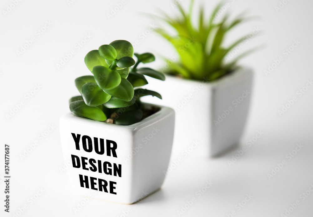 Plant Mockup Stock Template | Adobe Stock