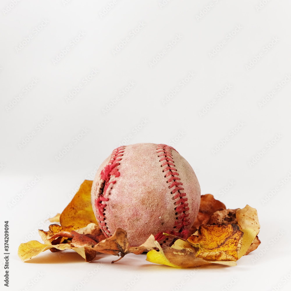 Old used baseball isolated on white background with autumn leaves for ...