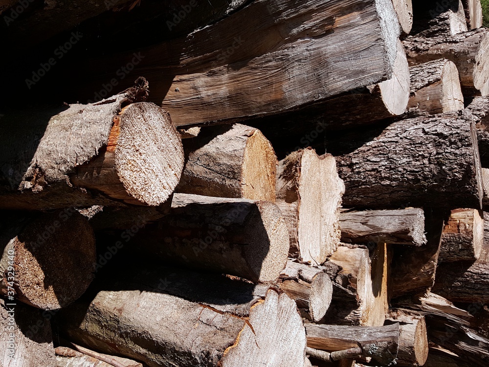 Old logs of different lengths and textures are not neatly stacked in a ...