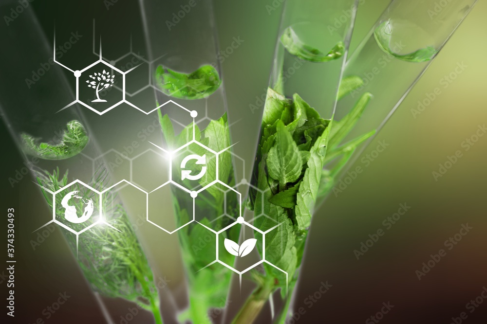 Nature. Stock Photo | Adobe Stock