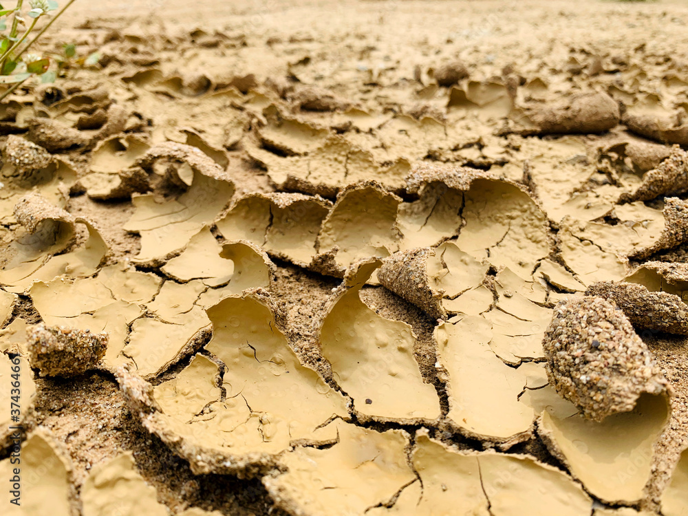 The surface of dry land with many cracks. Ground surface peel off from ...