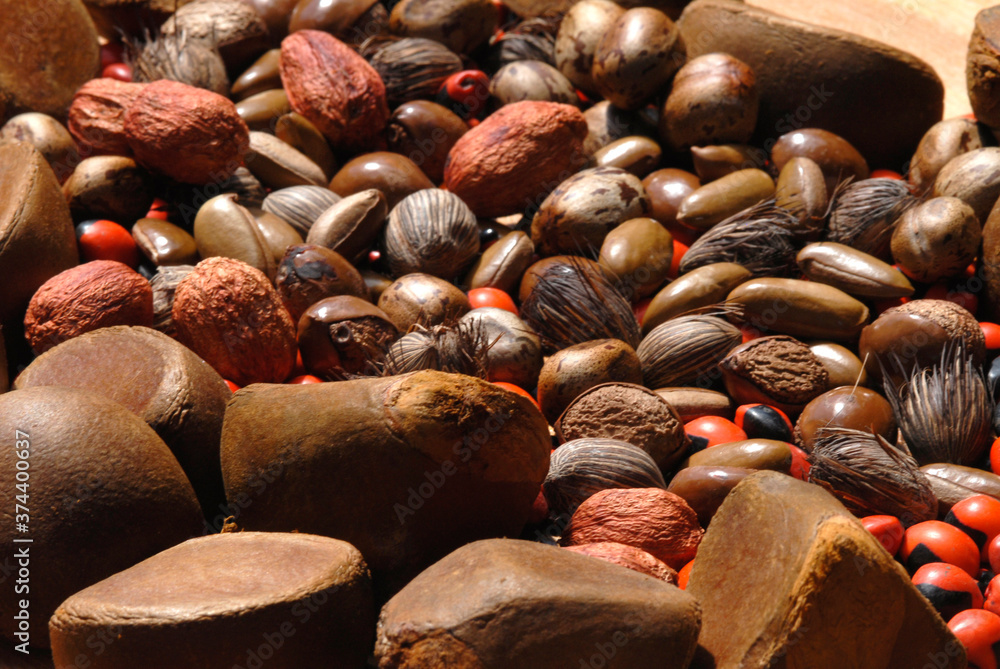 Assunto: Sementes da Amazônia Stock Photo | Adobe Stock