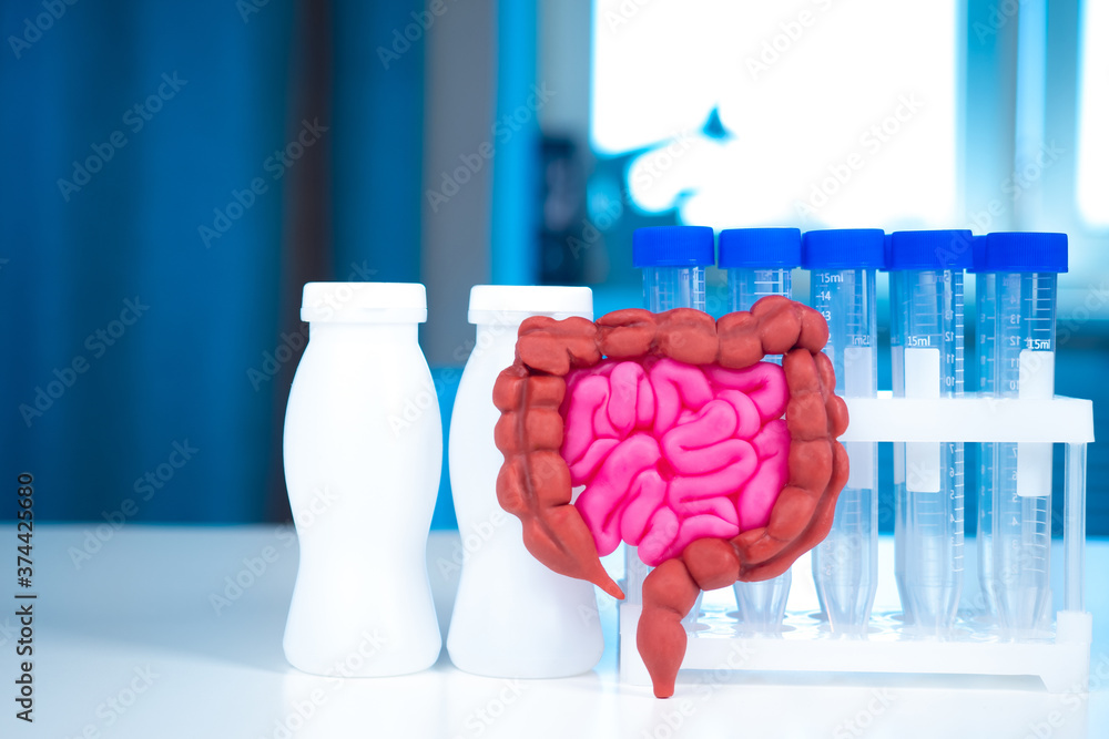 Intestine next to probiotics. Image of intestines on background of test ...