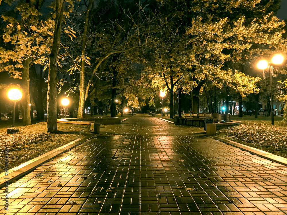 autumn park at night. wet cobblestones of footpath reflect streetlights ...