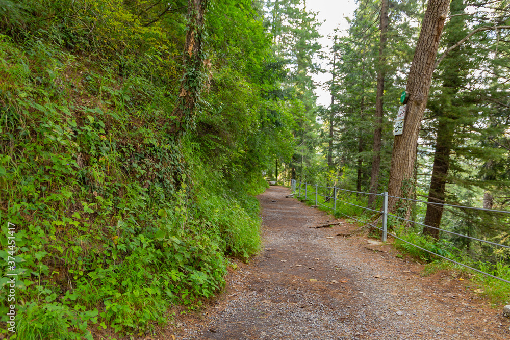beautiful lush green tracking path mountains perfect for exercise and ...