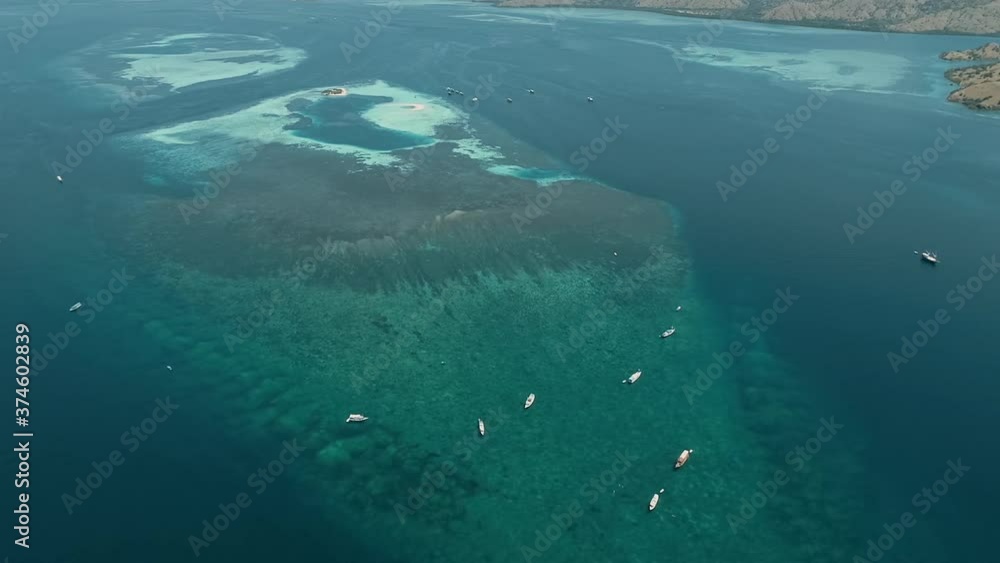 Video Stock Manta ray Point. Wild islands of Indonesia. Flores ...