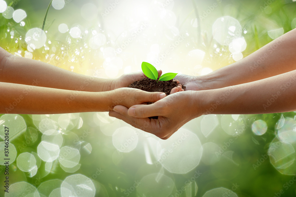Adults Baby Hand tree environment Earth Day In the hands of trees ...