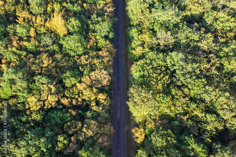 une vue aérienne d'une route traversant une forêt. Un chemin traversant ...